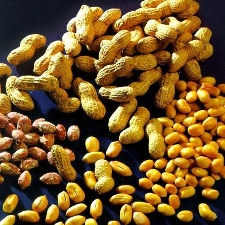 DRY NUTS | TREZOS & ASSOCIATES S.A.